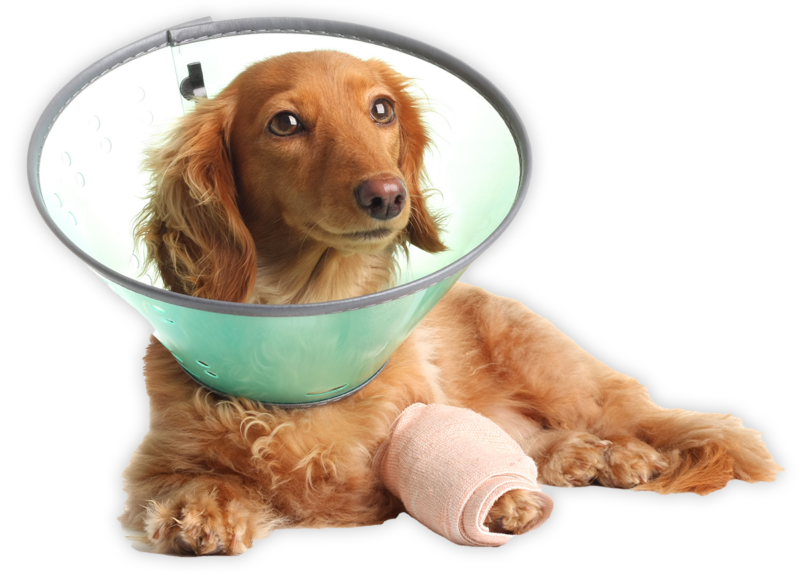 Chirurgie - De Bascule