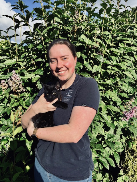 Het team - De Bascule